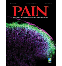 IASP PAIN, November 2019 – PainSA